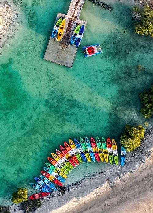 ADQ establishes Q Mobility to enhance transportation services through ...